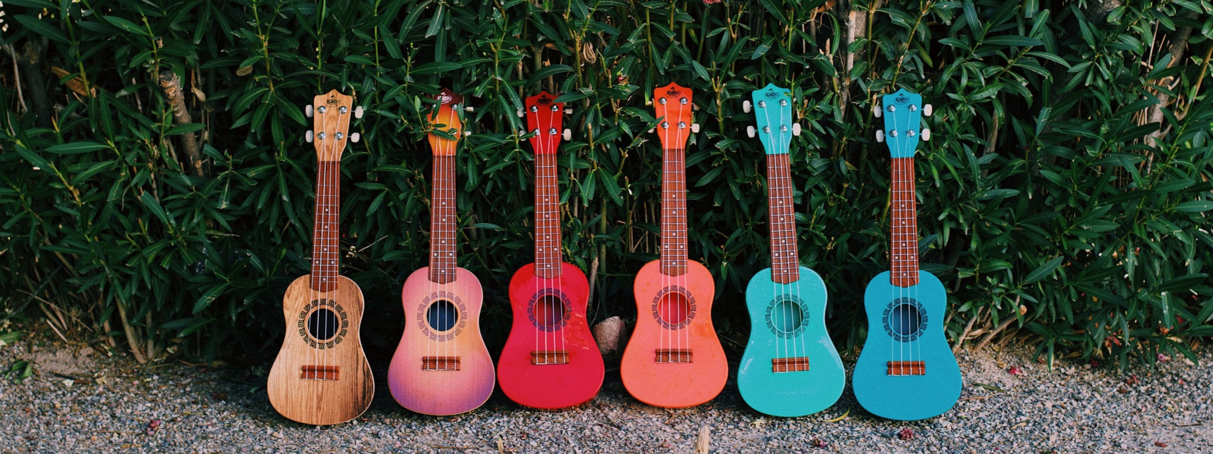 KaKo'o Ukuleles – CocoNut Pool Floats