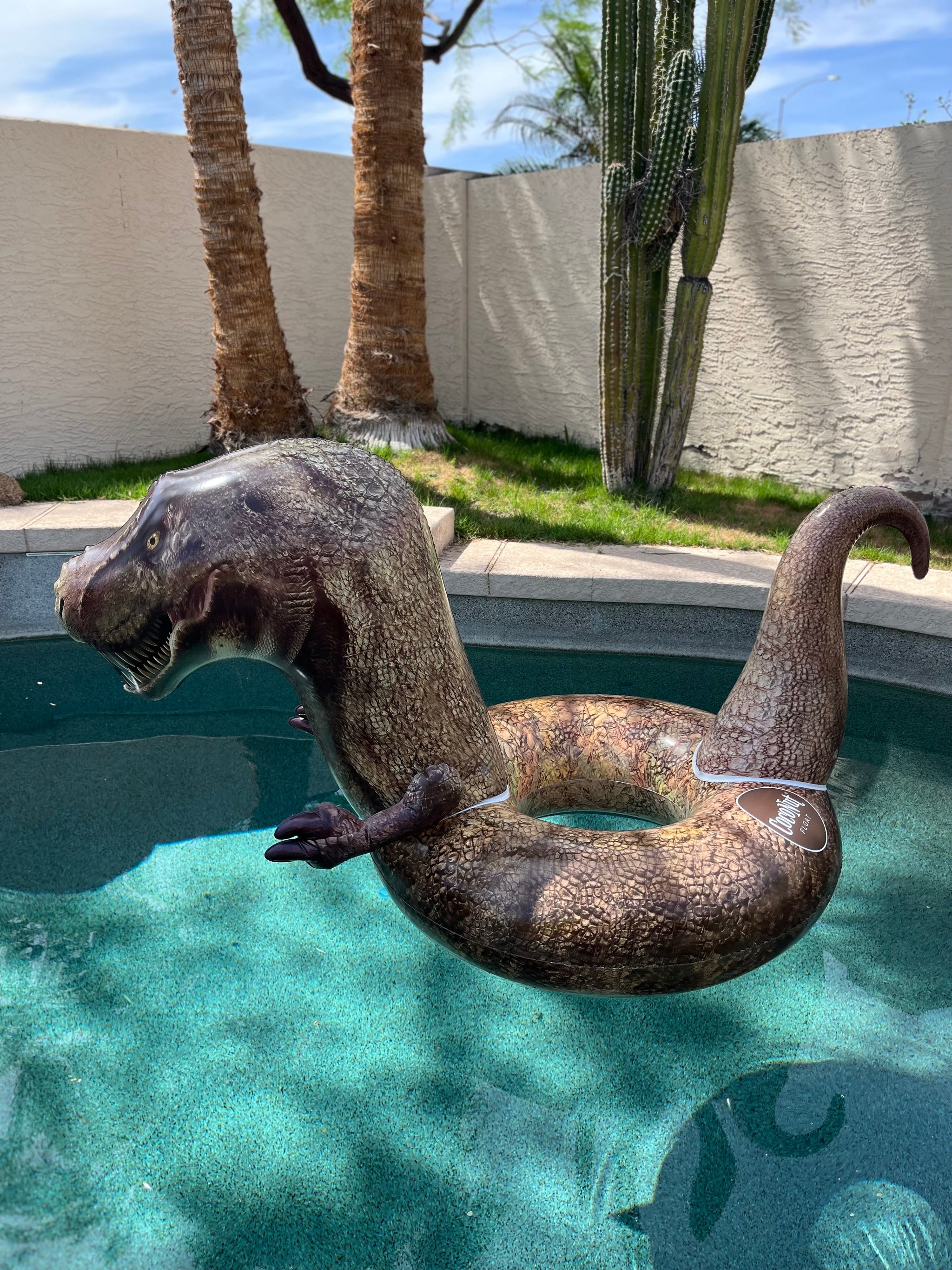 T-Rex Pool Float – CocoNut Pool Floats