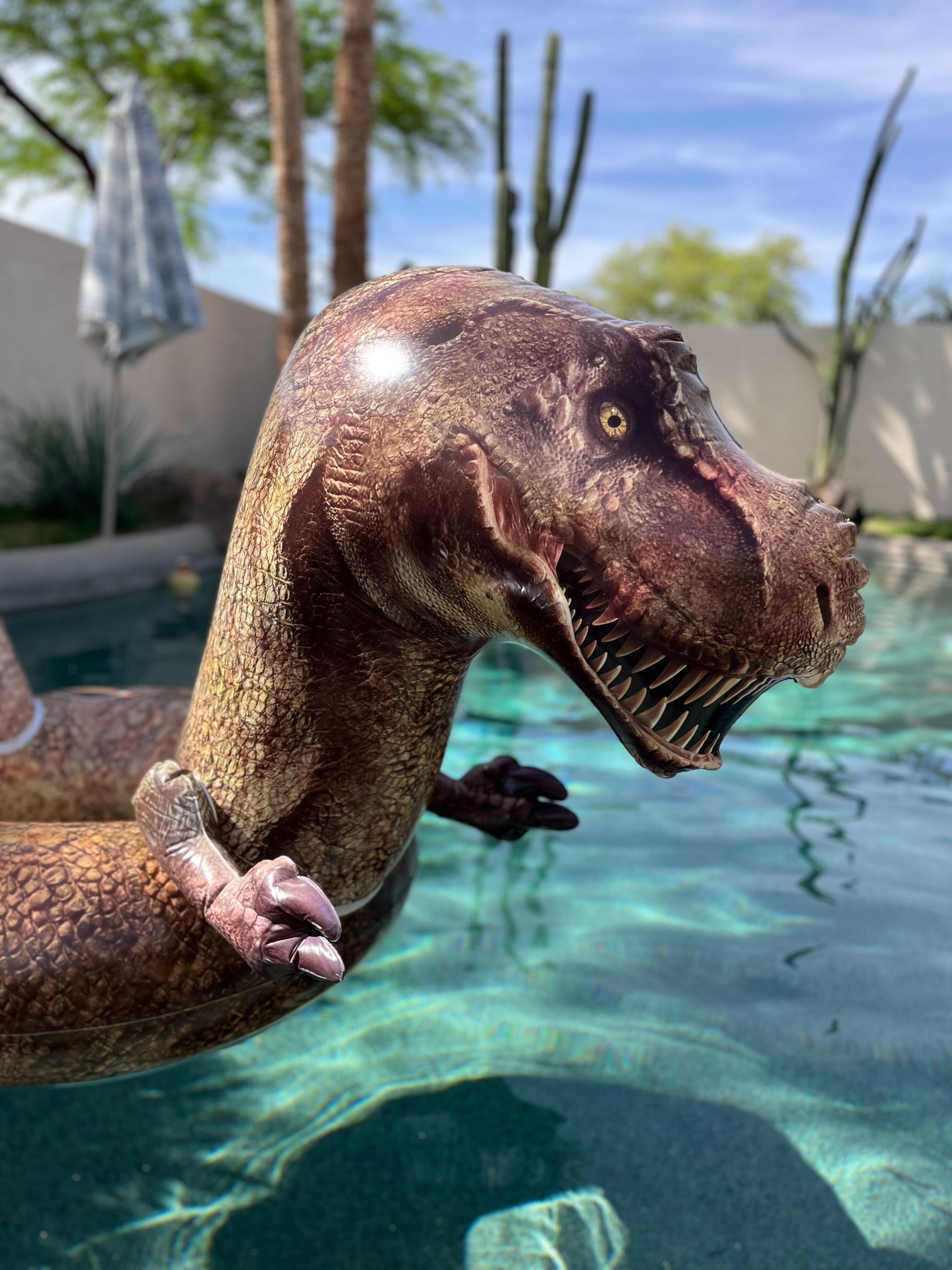 T-Rex Pool Float – CocoNut Pool Floats